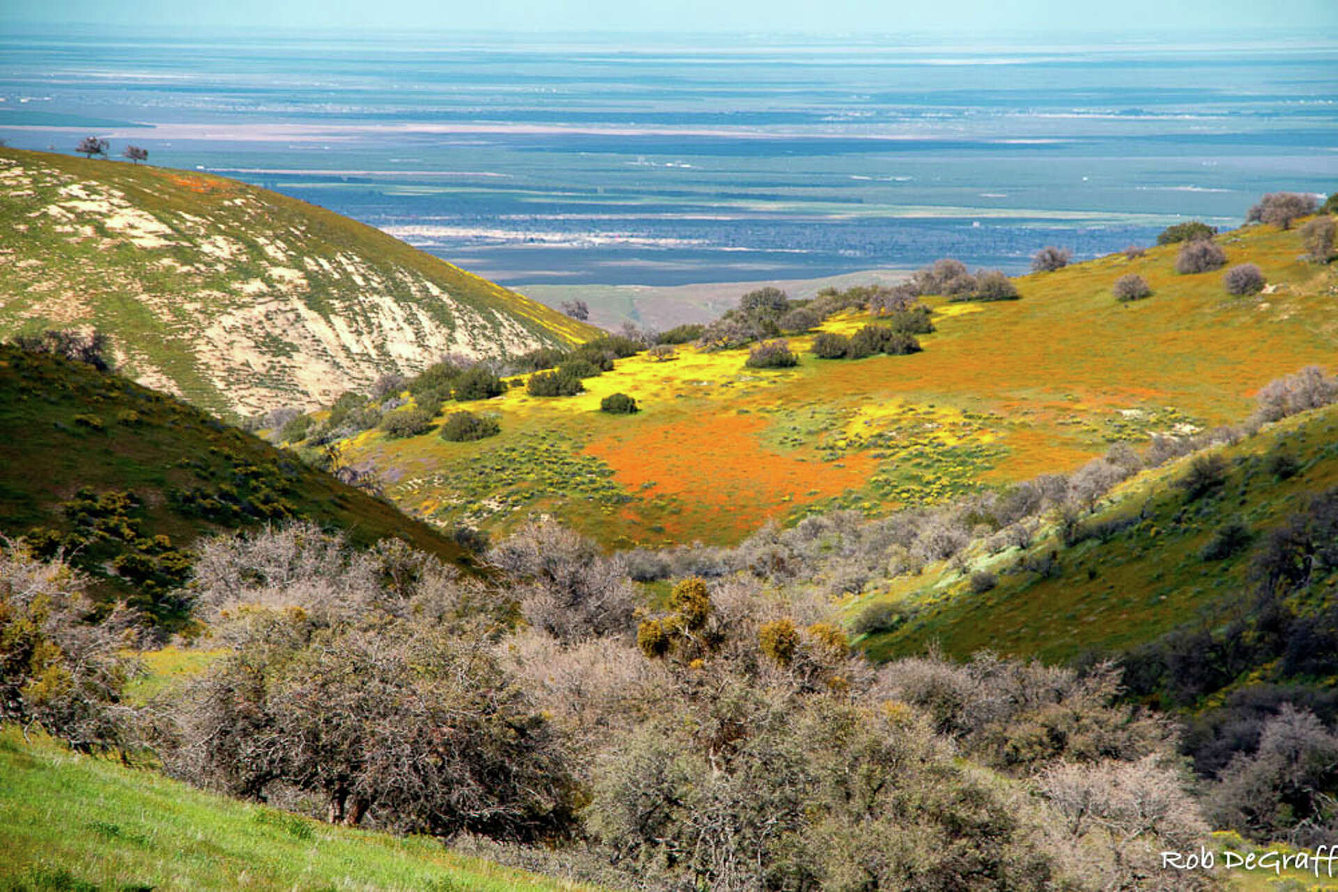 A super bloom is exploding a five-hour drive from the San Francisco Bay ...