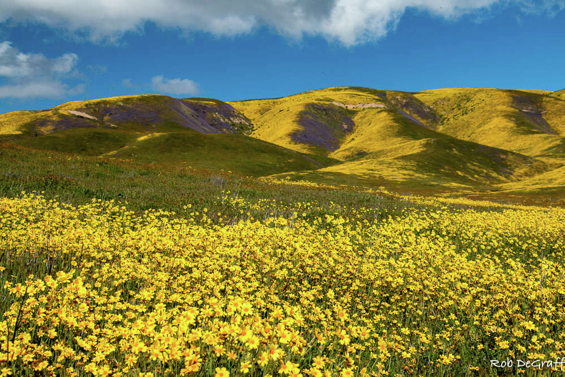 A super bloom is exploding a five-hour drive from the San Francisco Bay ...