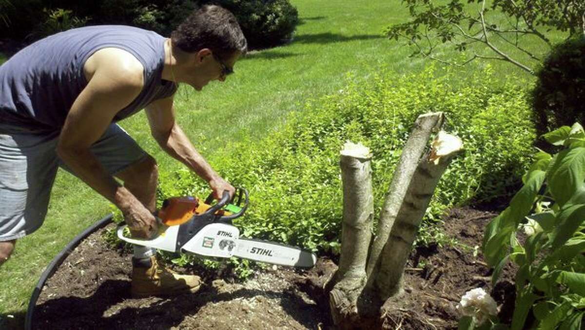 20 things you don't know about me: Steve LaPointe