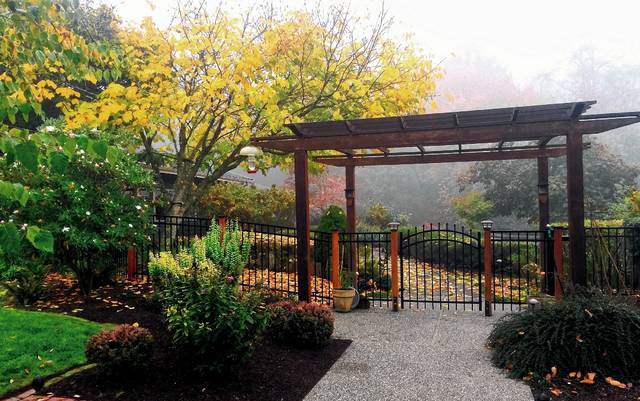 Pergolas: Ancient garden structures are being updated