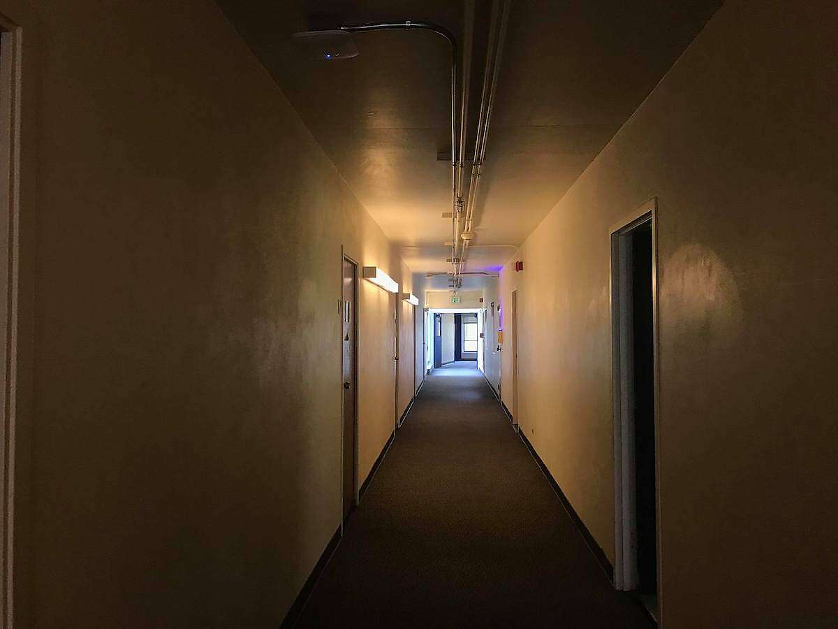 Roommates wanted for UC Berkeley dorm: Must be cool with mice, other vermin