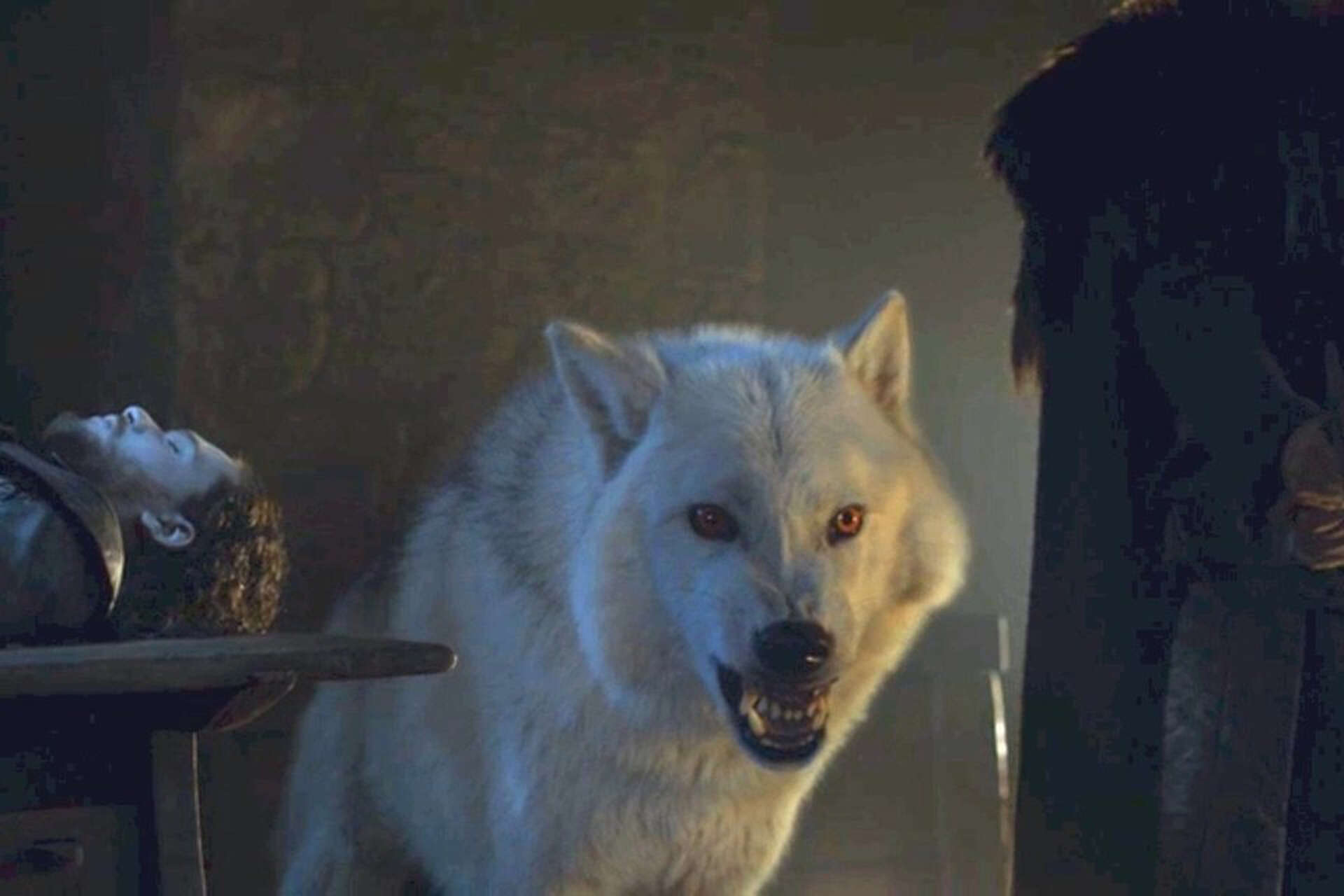 Here Hodor Game of Thrones characters inspire dog names