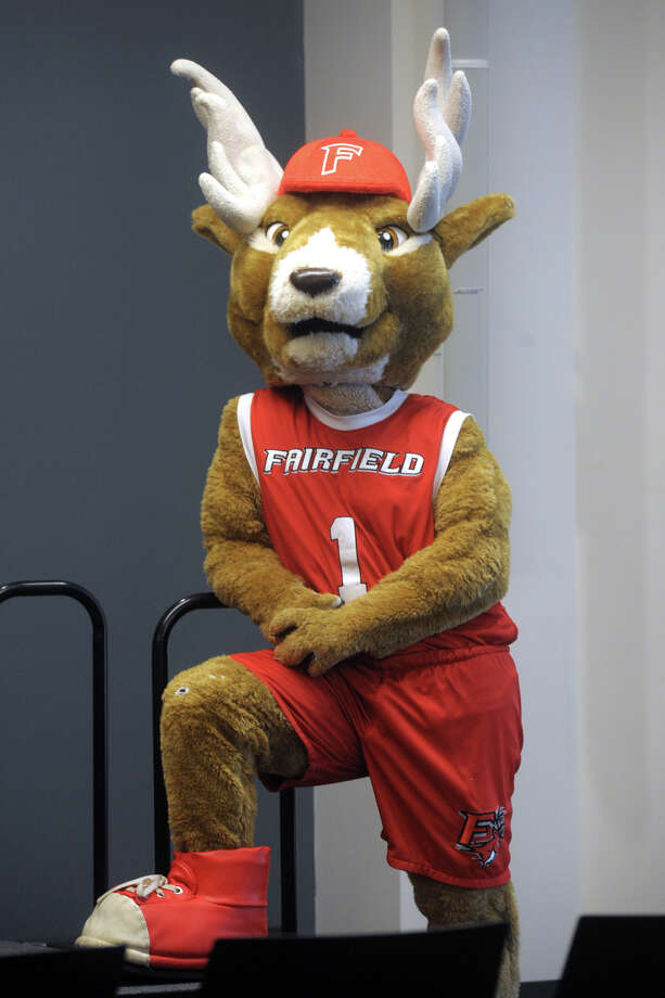 Fairfield Stags Mens Basketball - Connecticut Post
