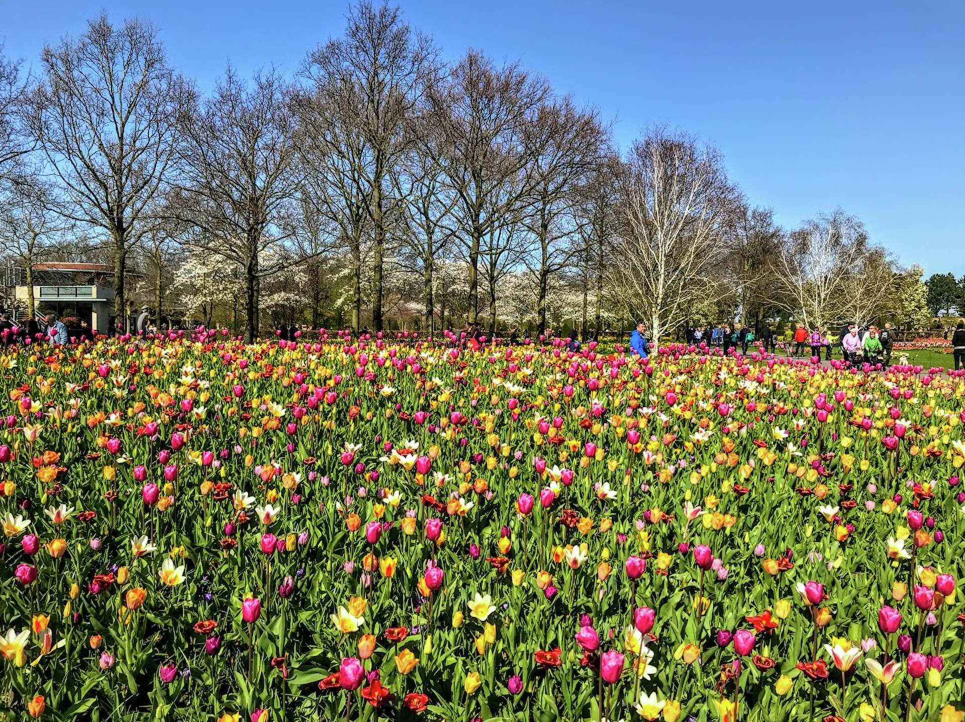 How to find cheap spring, summer travel deals