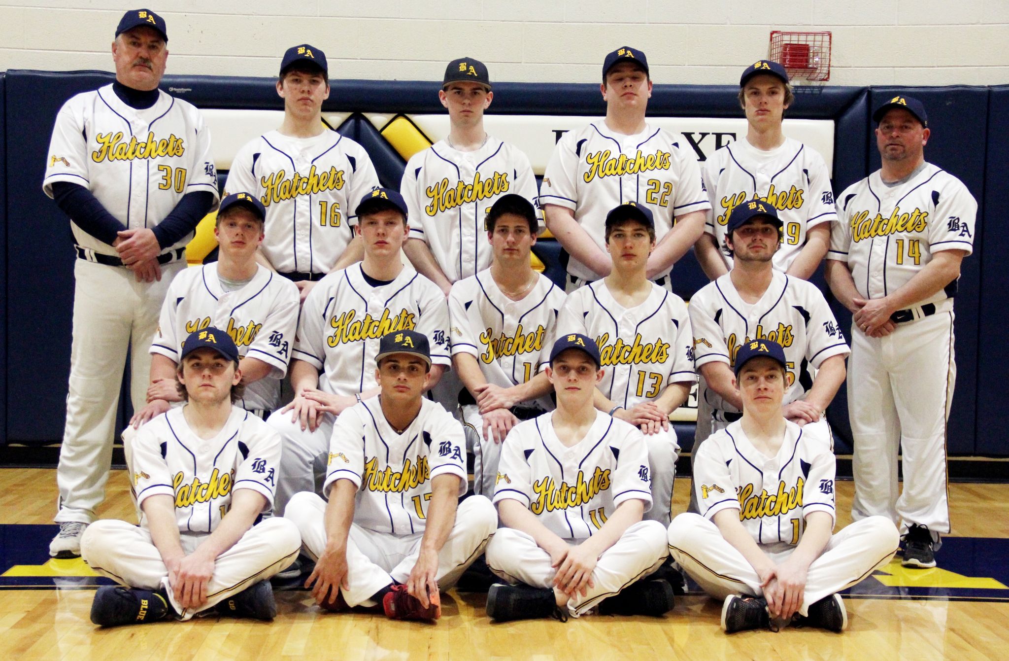 Bad Axe Baseball Overview