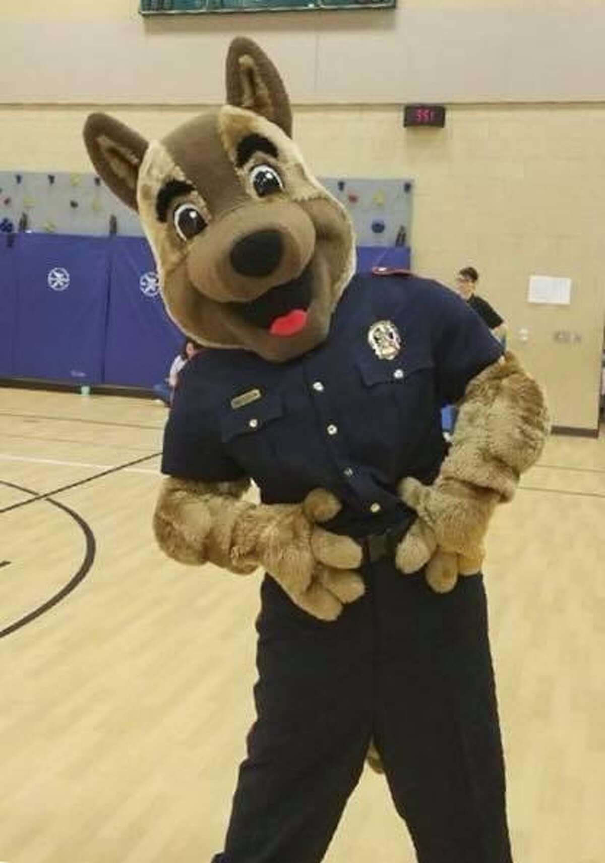 Fulshear police collect toys for children in hospital