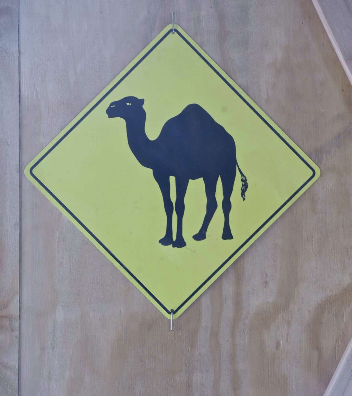 Ridgefield plans for the future