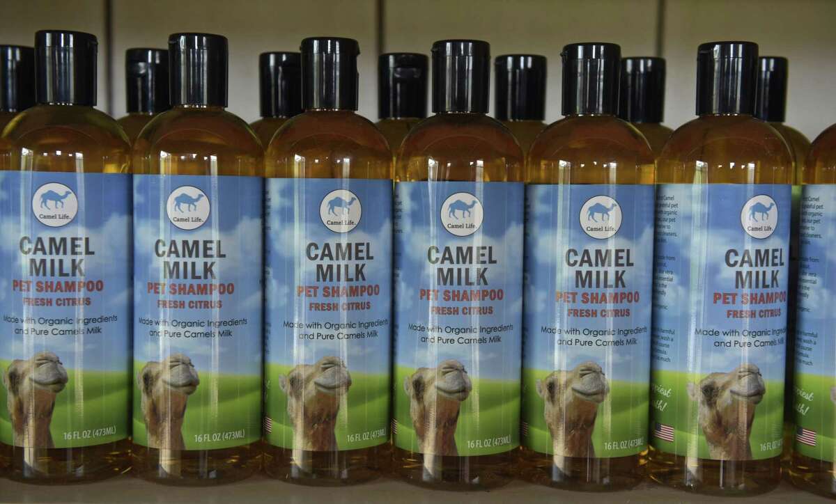 Ridgefield plans for the future