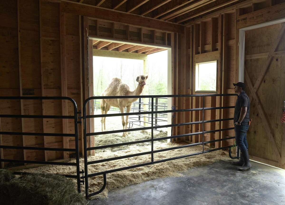 Ridgefield plans for the future