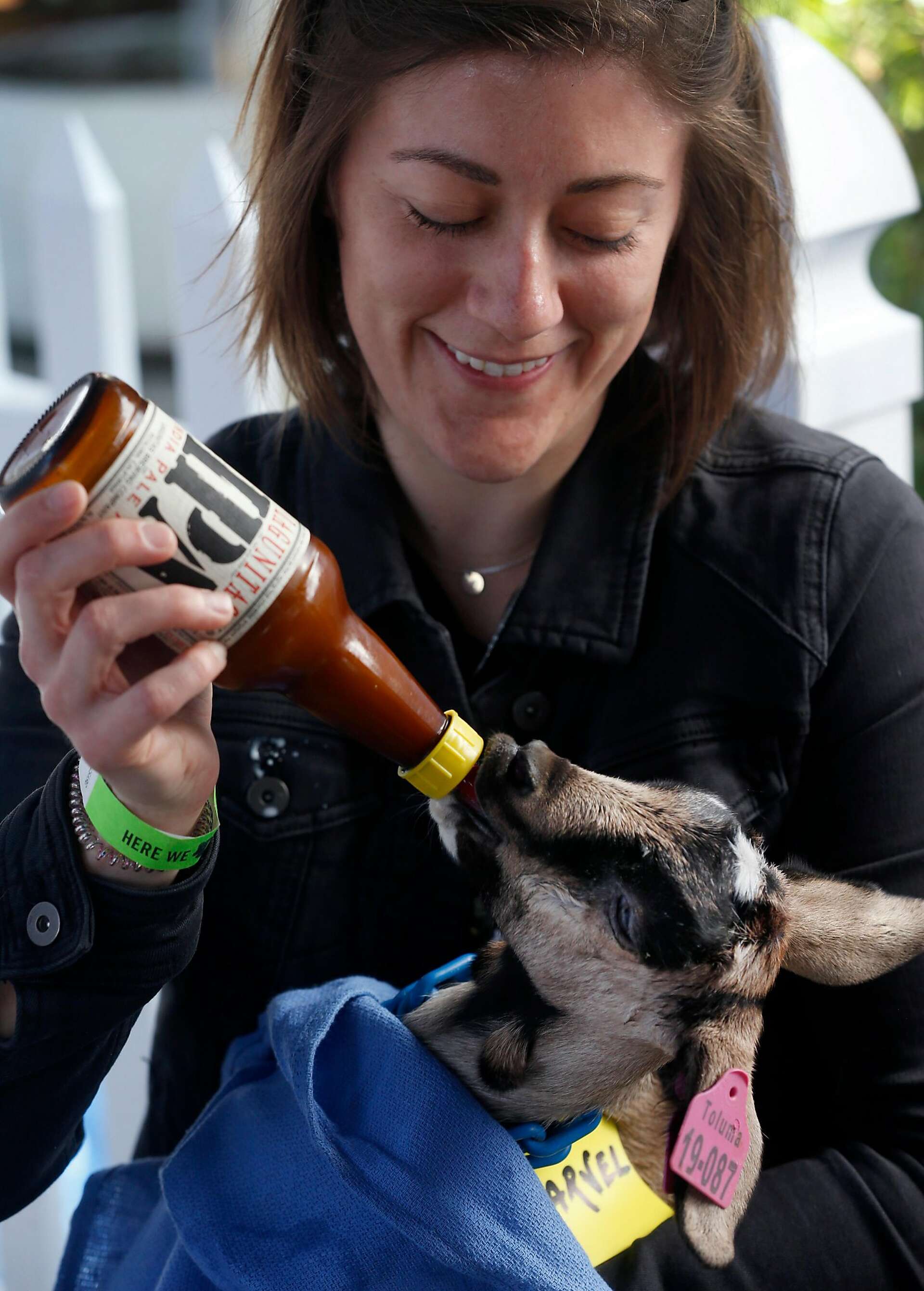 Maa! Maa! Baby goats invade the Ferry Building