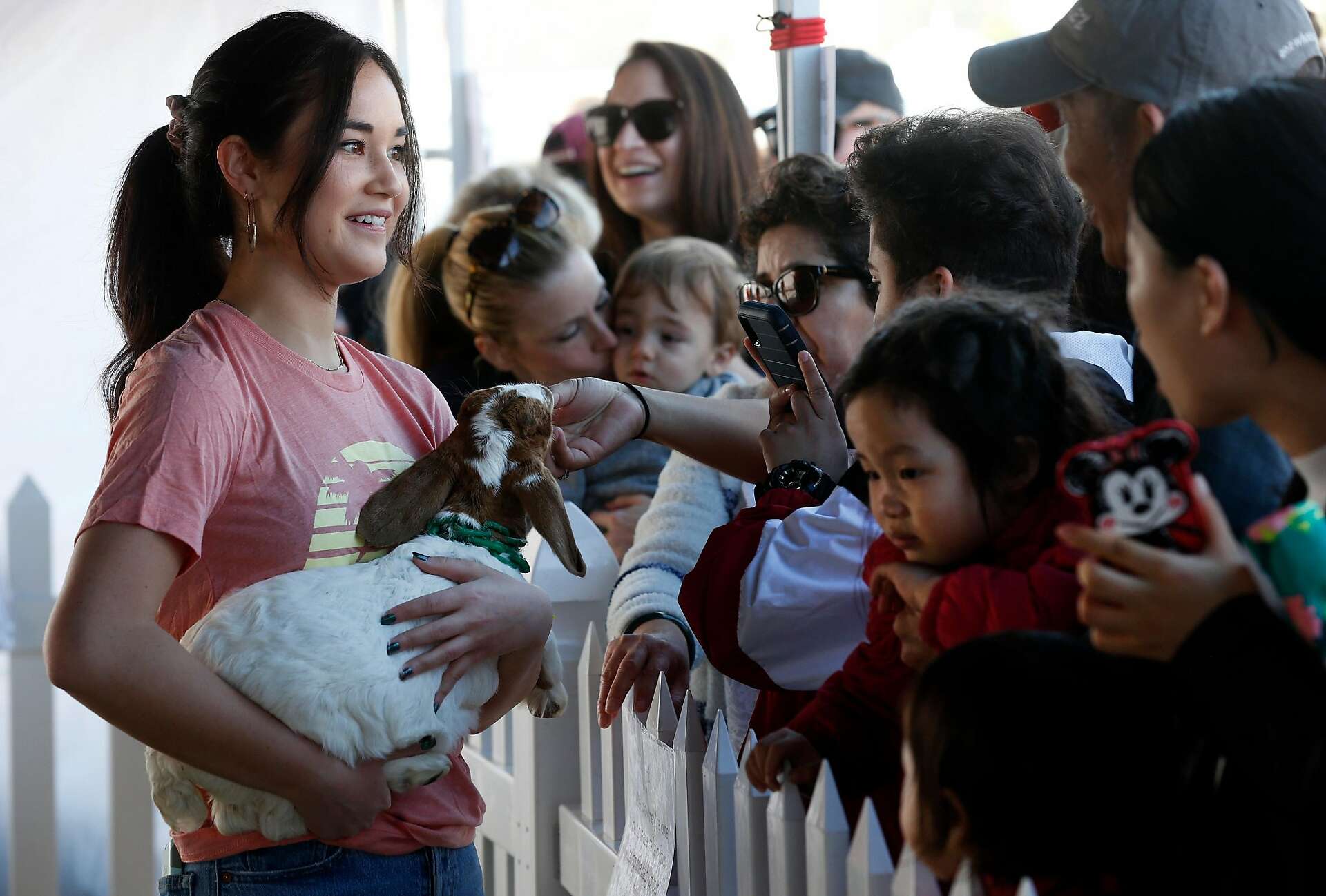 Maa! Maa! Baby goats invade the Ferry Building