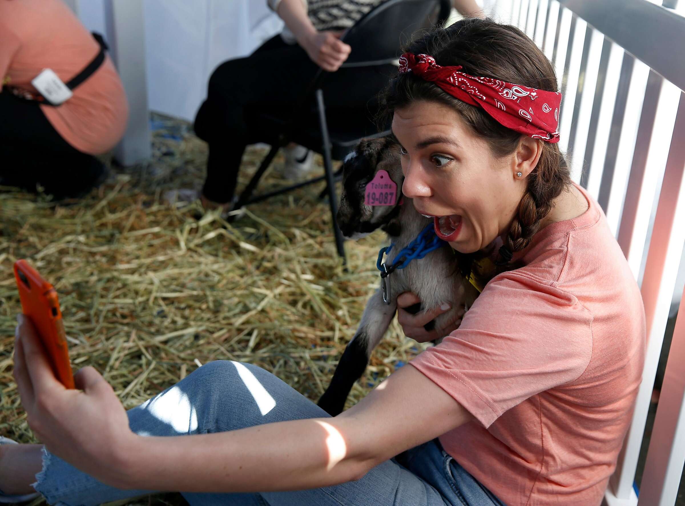Maa! Maa! Baby goats invade the Ferry Building