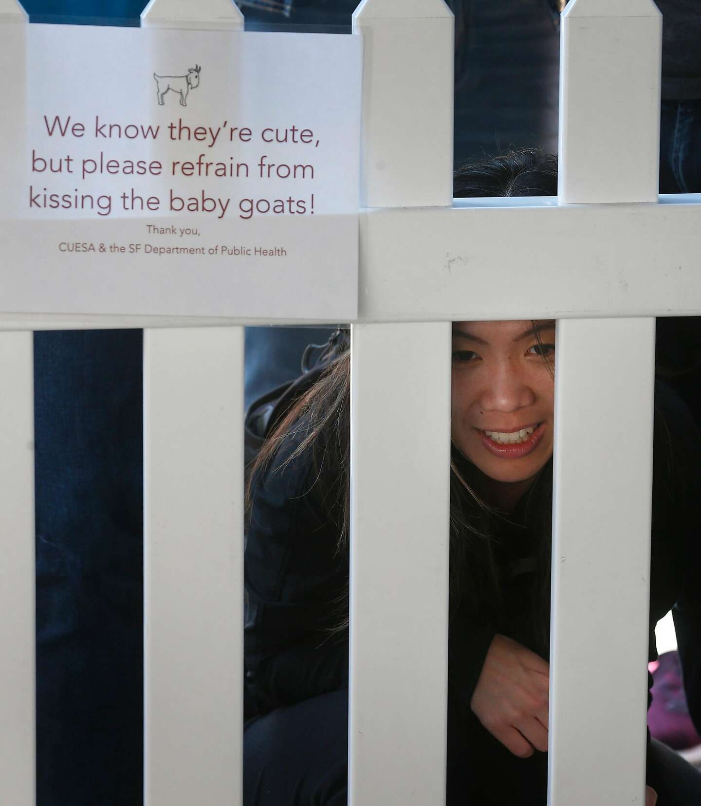 Maa! Maa! Baby goats invade the Ferry Building