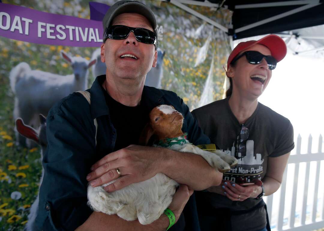 Maa! Maa! Baby goats invade the Ferry Building