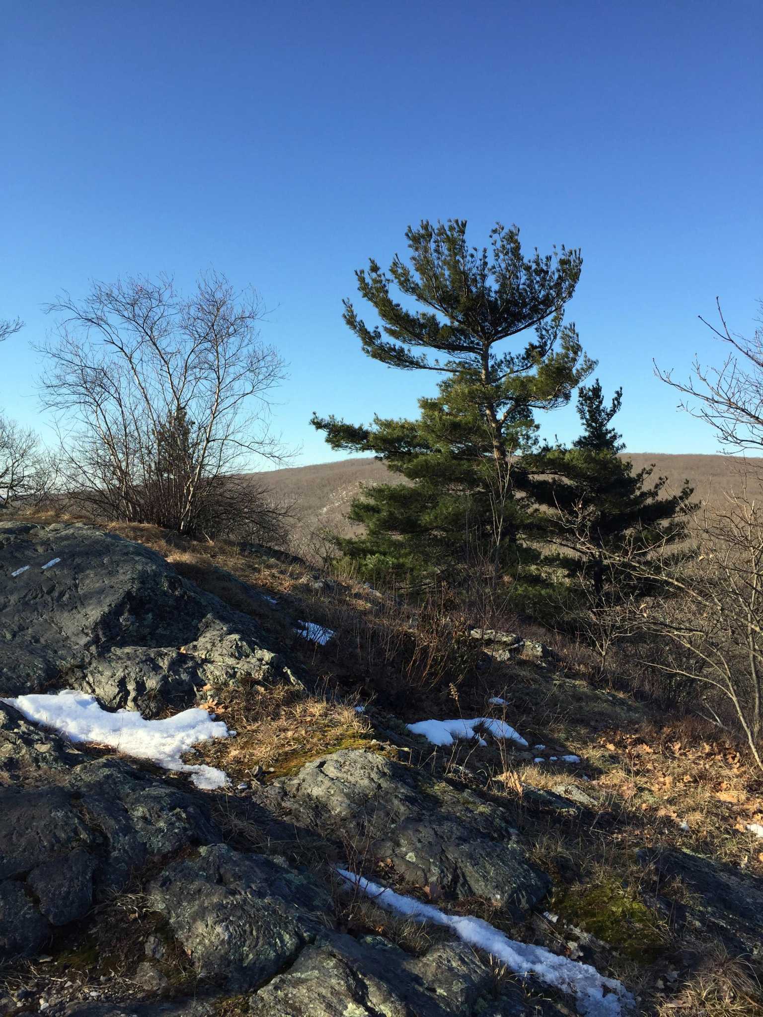 In search of Bald Peak