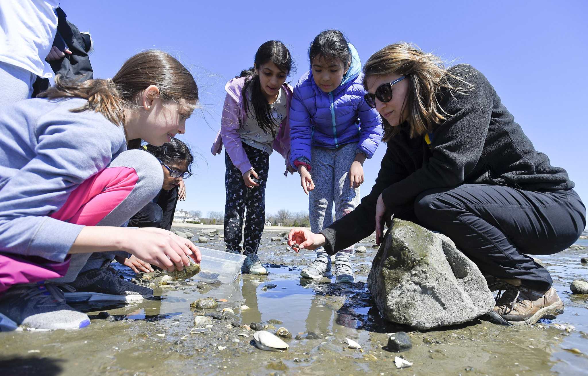 ‘Science Stars’ apply STEM skills in Stamford