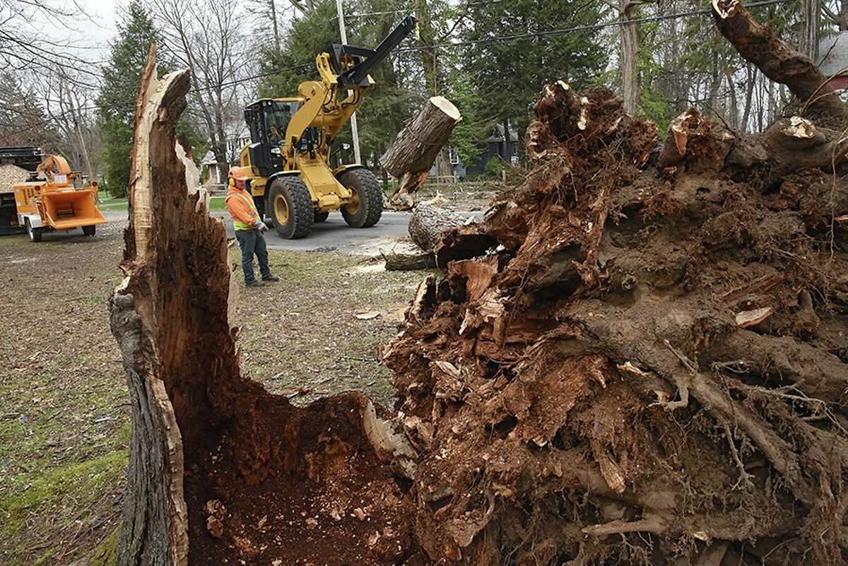 Man barely suffers scratch but car destroyed after tree collapse in Scotia