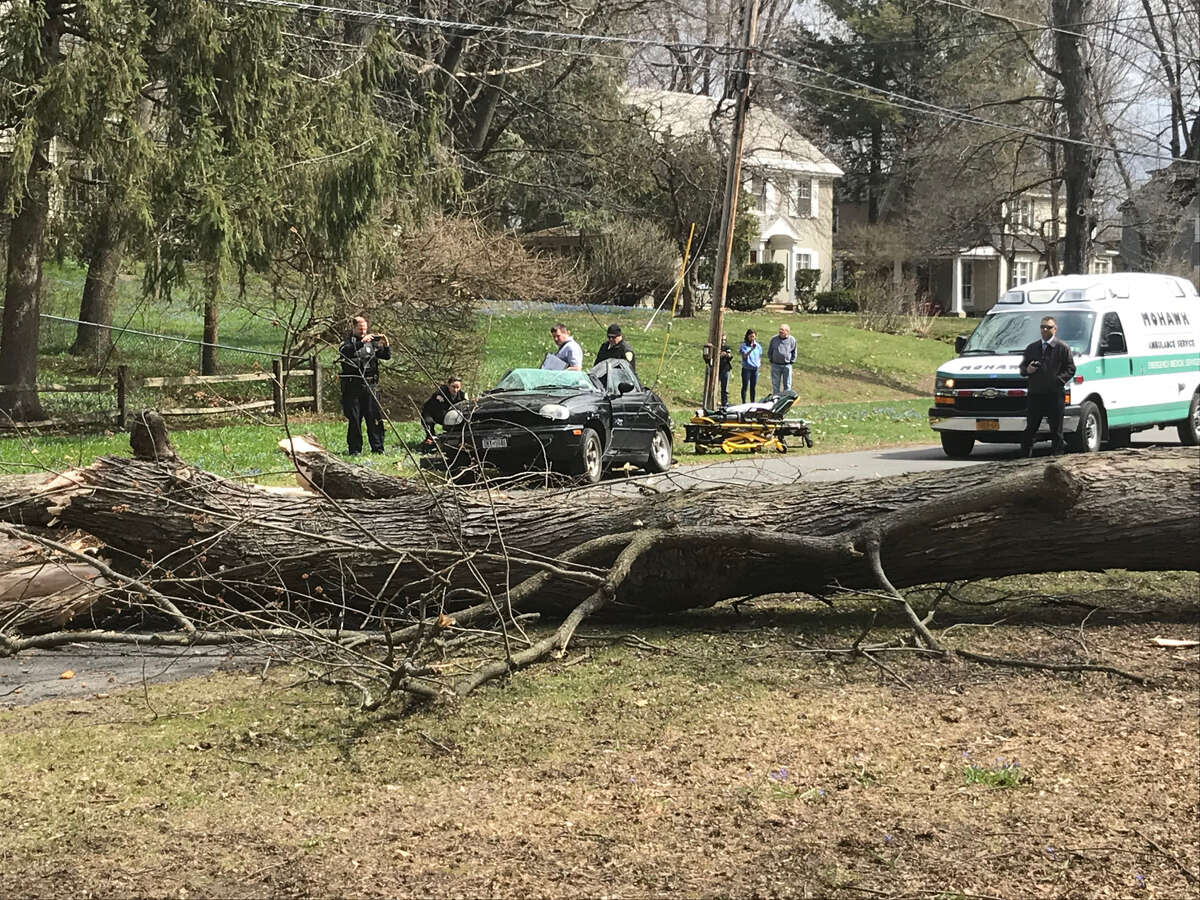 Man barely suffers scratch but car destroyed after tree collapse in Scotia
