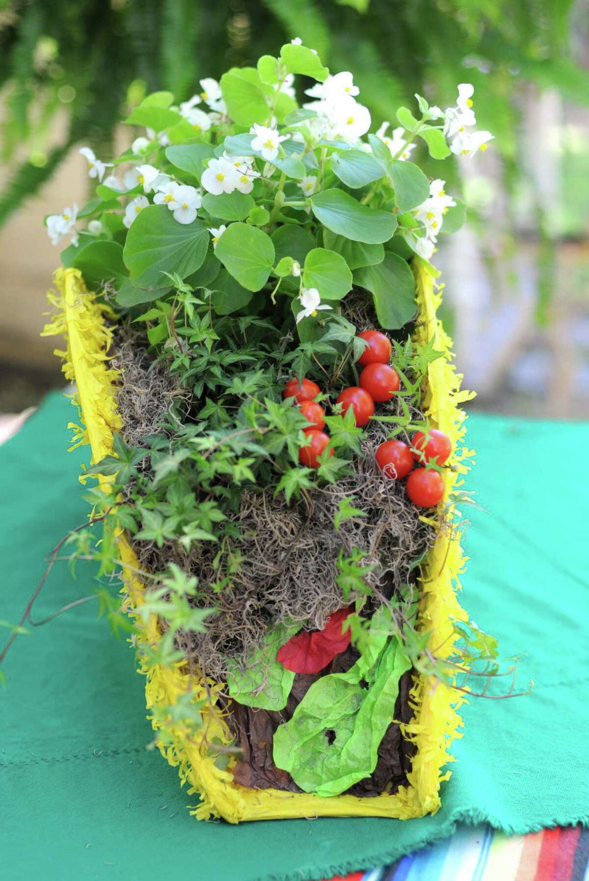 5 ways to repurpose San Antonio Fiesta decorations into fun planters ...
