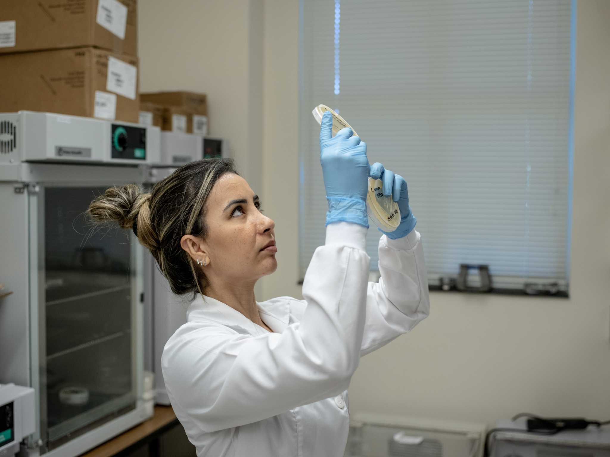 Deadly new fungal 'superbug' spreading across U.S., several cases ...