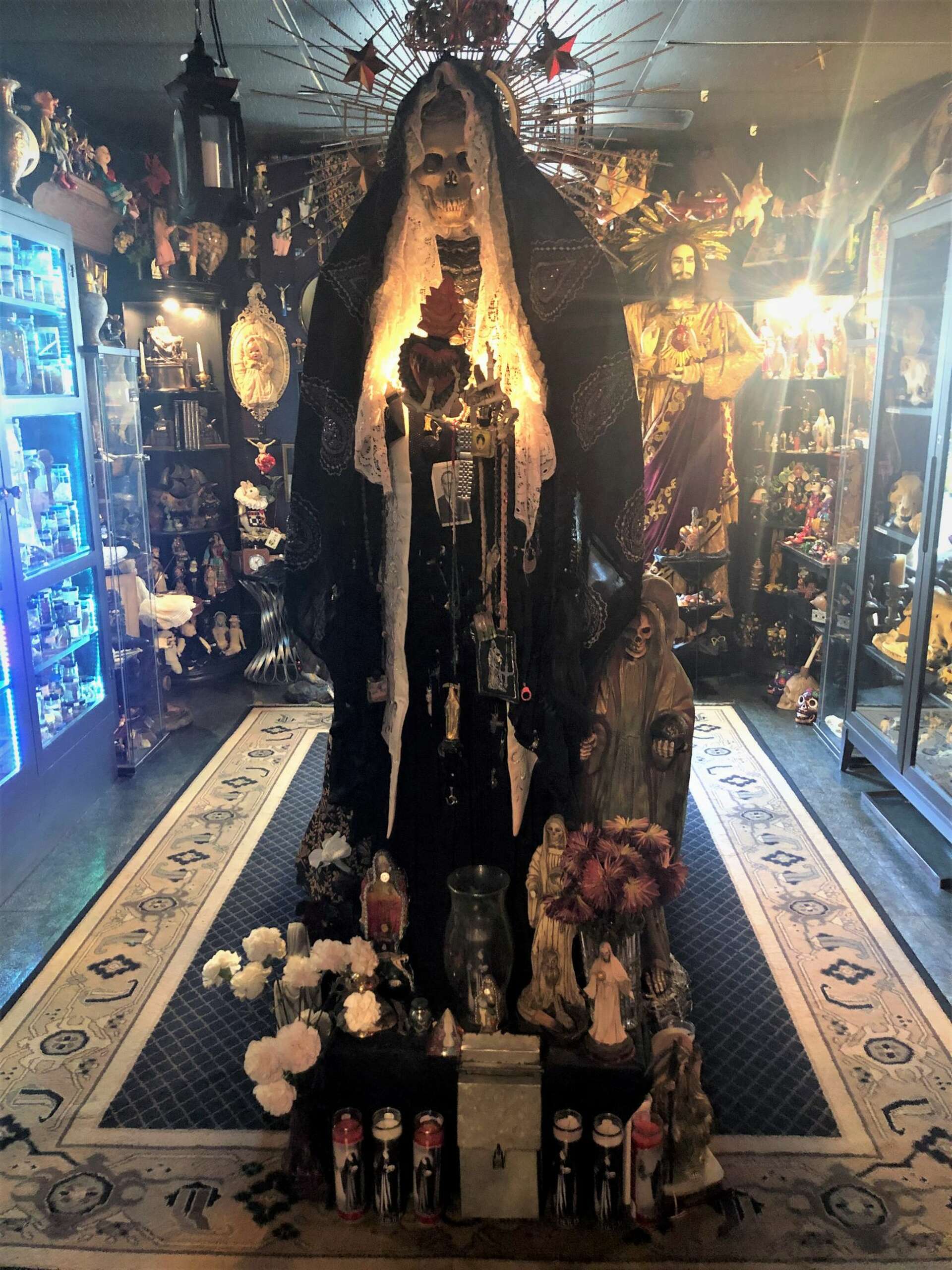 Rogue taxidermy, 'haunted' pieces make this Heights shop Wilde