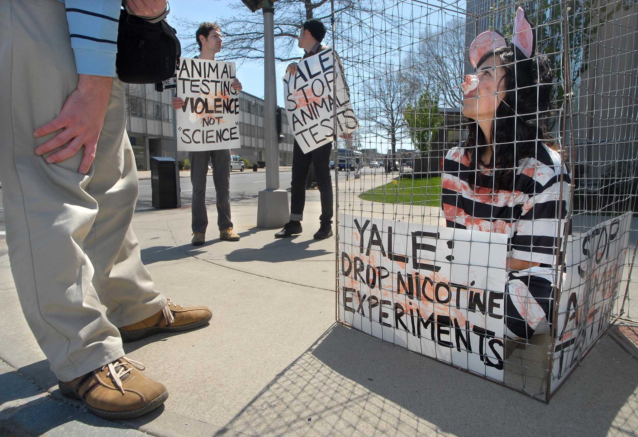 stop animal testing protest