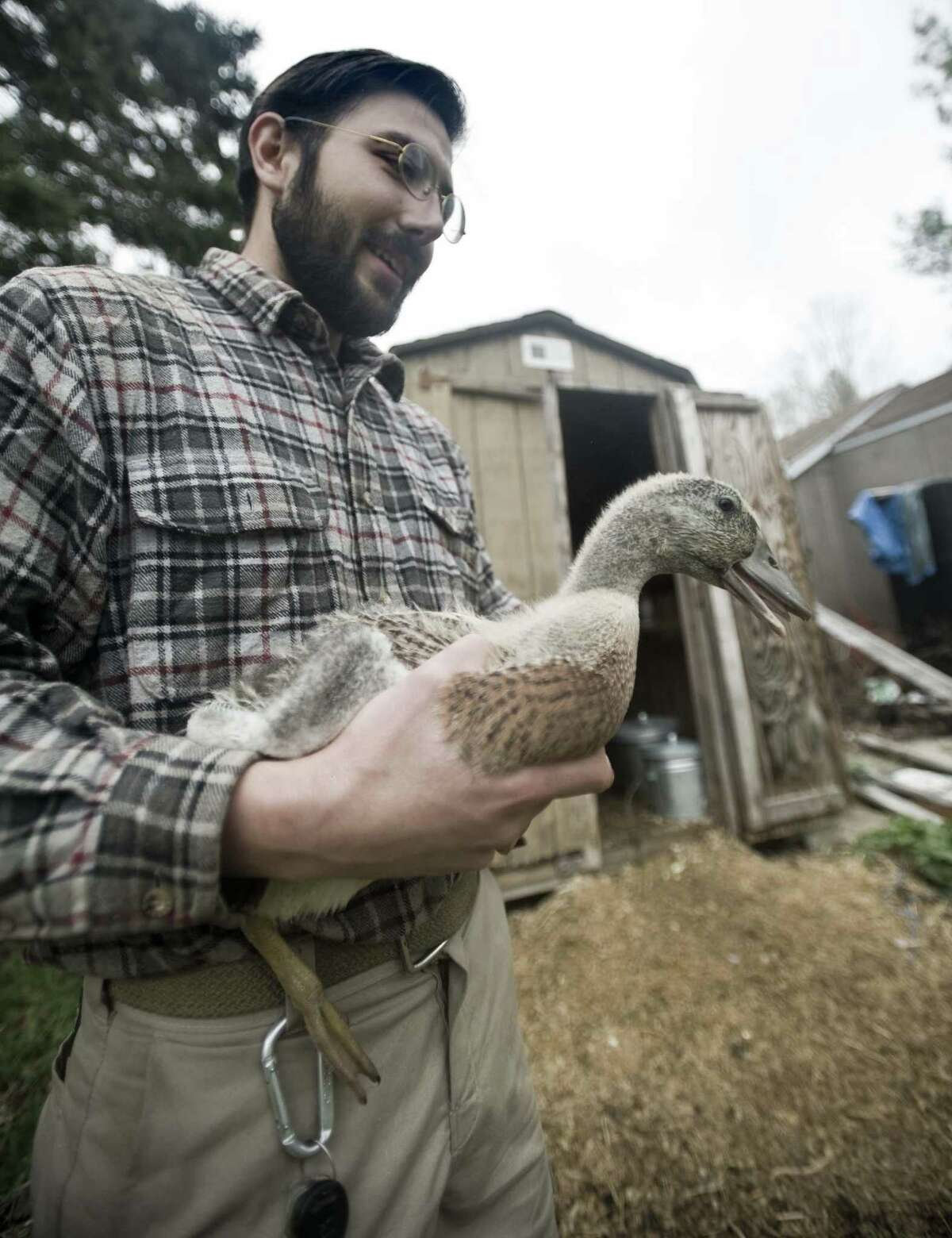 Backyard chickens could roost in more Bethel homes