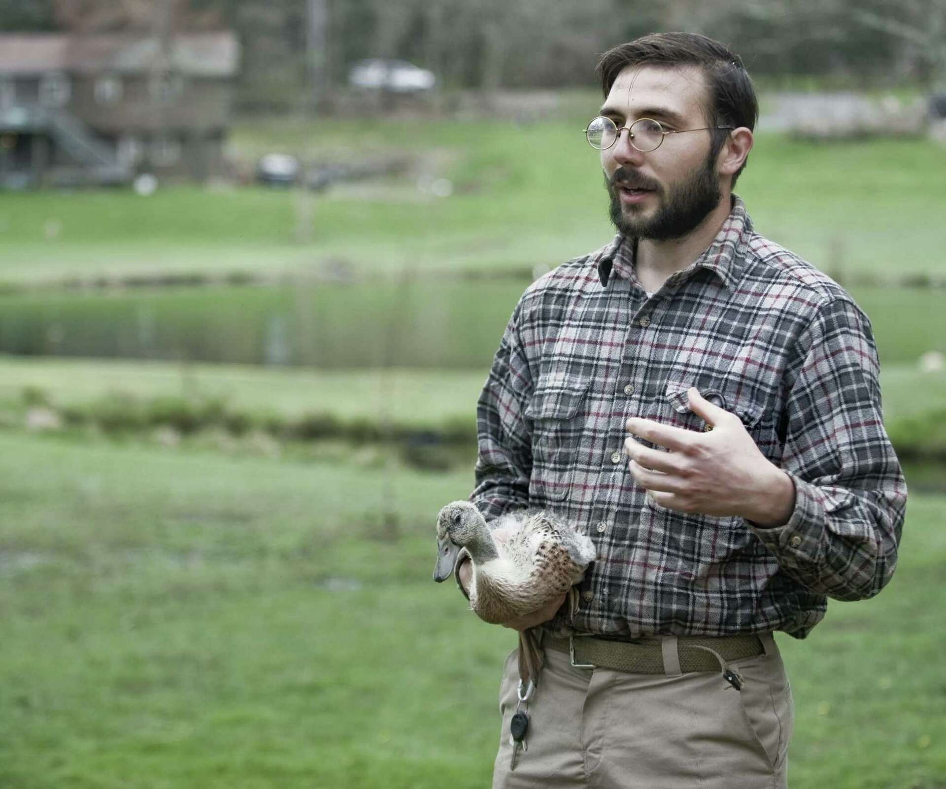 Backyard chickens could roost in more Bethel homes