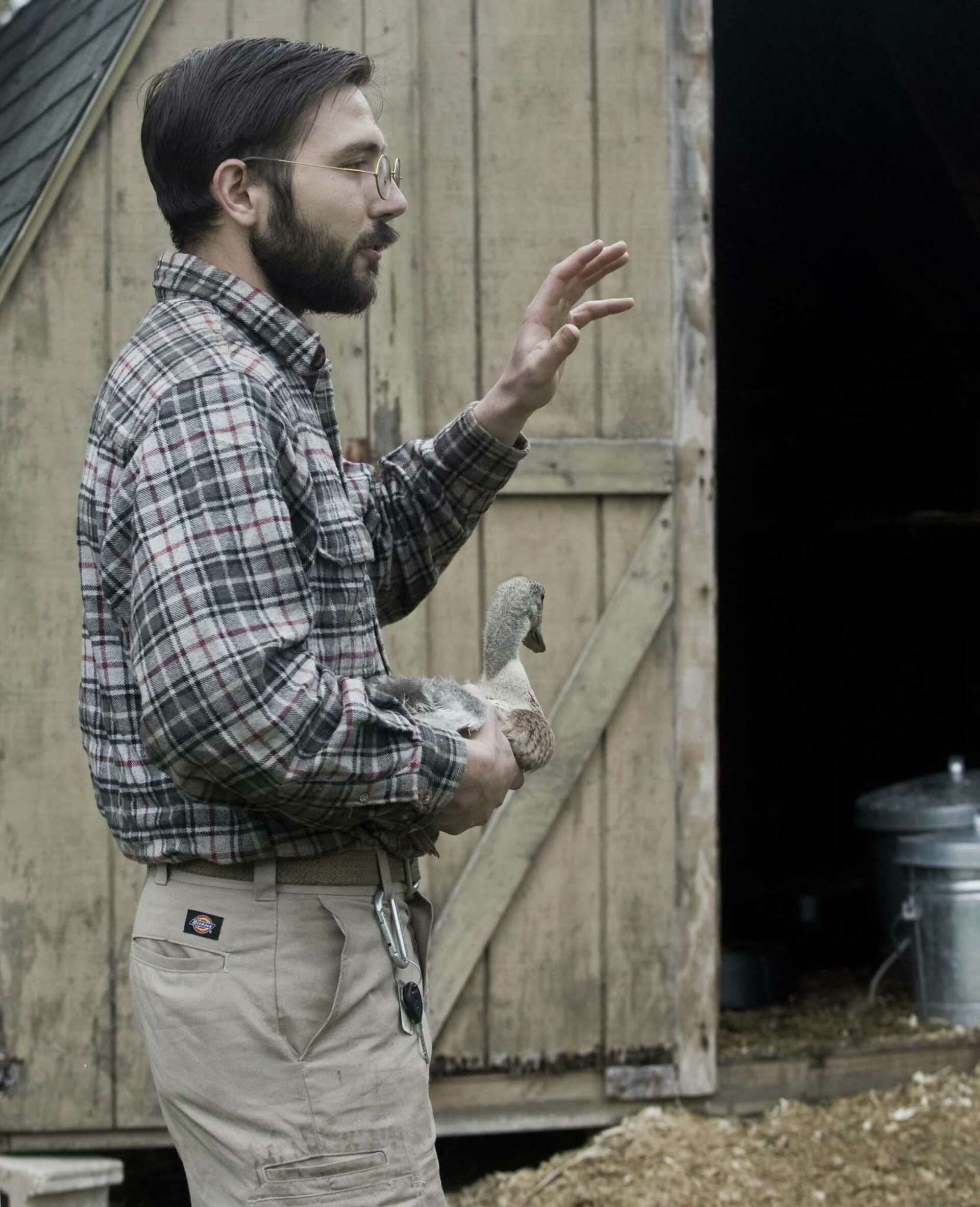 Backyard chickens could roost in more Bethel homes