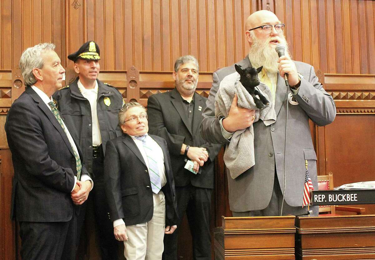 New Milford Day returns to state Capitol with baby goats