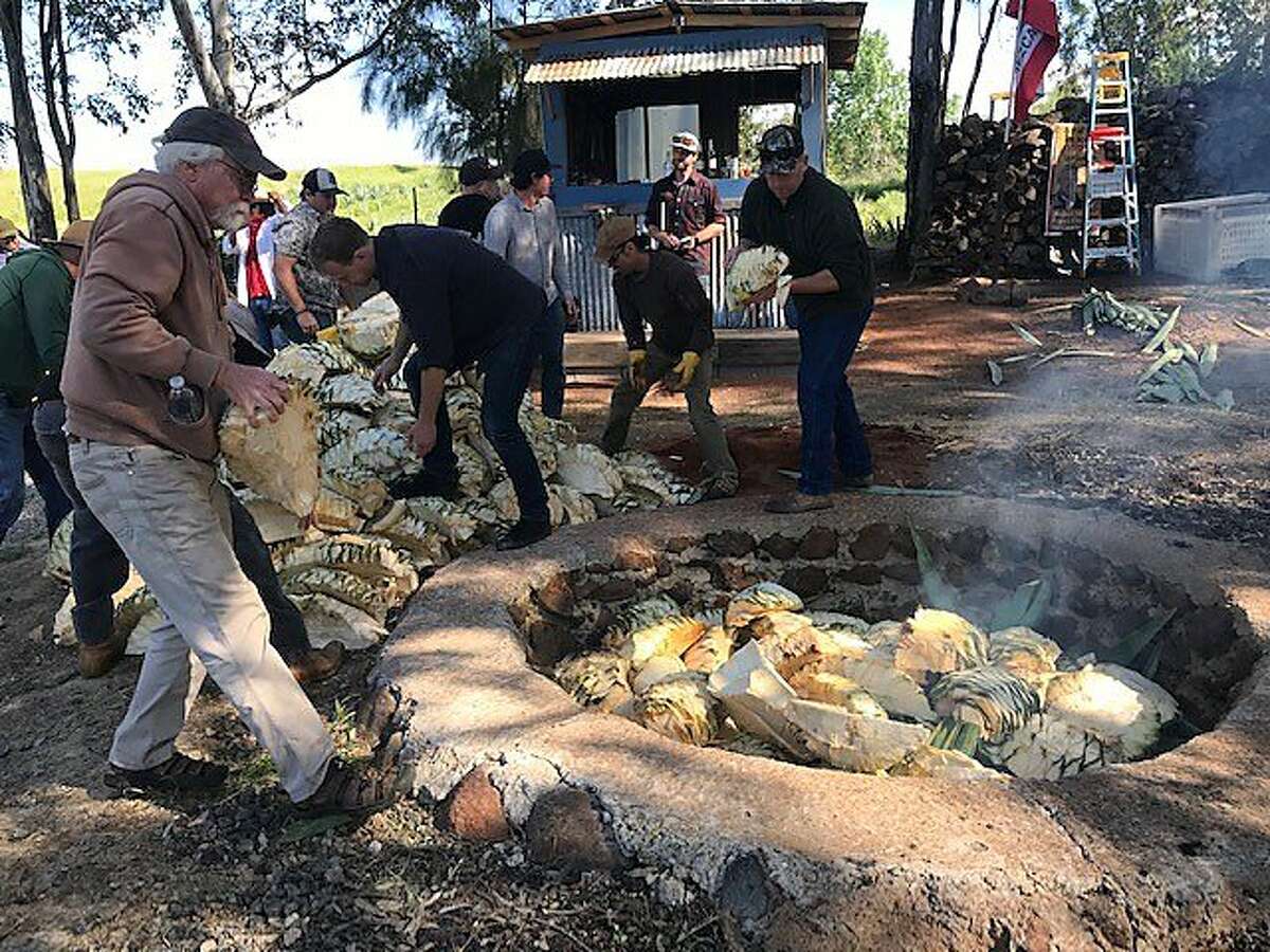 The mezcalifornia movement: Our first commercial agave spirit is on its way