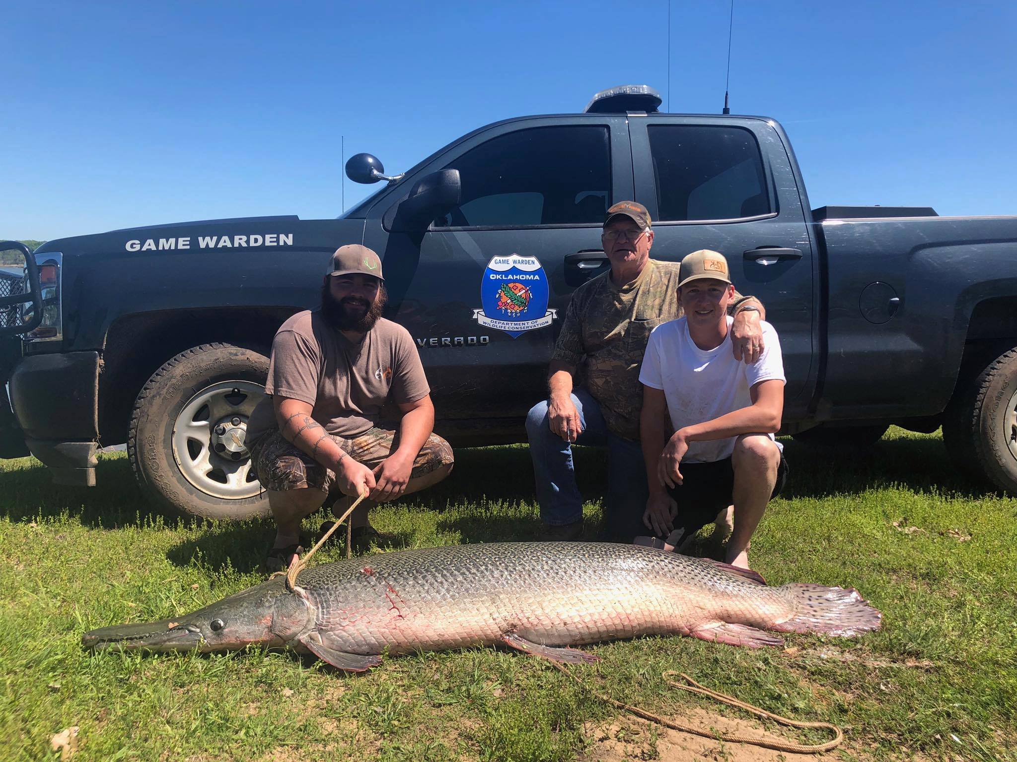 Alligator gar was so big, it took three men to bring it into the boat