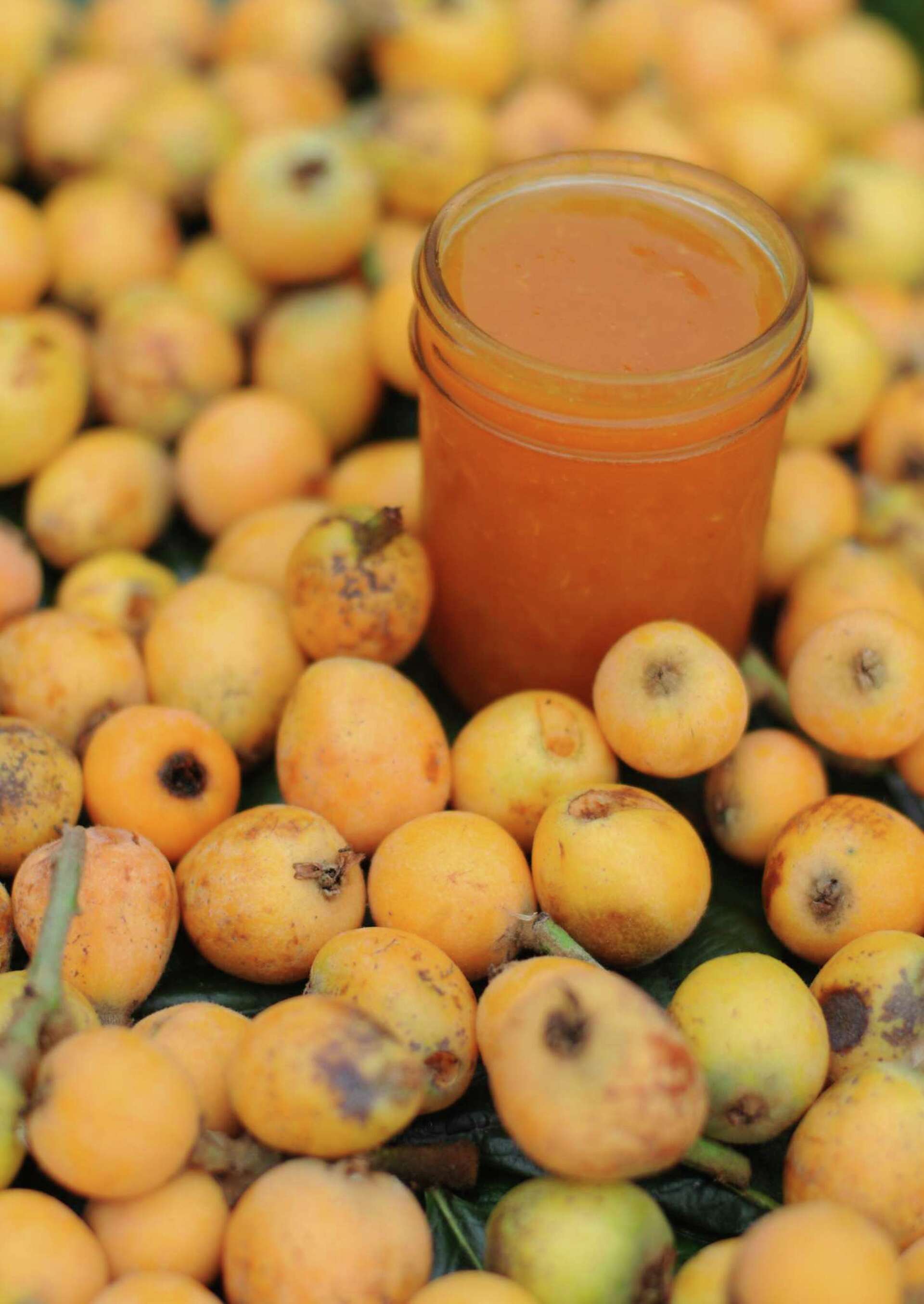15 things to know about loquats, aka 'Chinese plums' or 'nisperos'