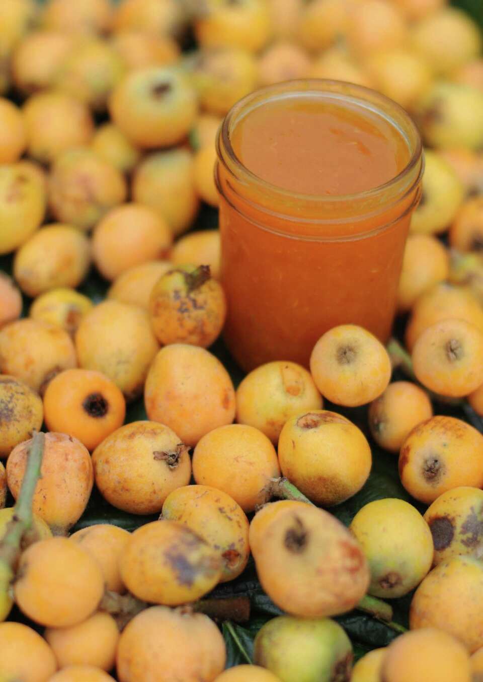 15 things to know about loquats, aka 'Chinese plums' or 'nisperos'