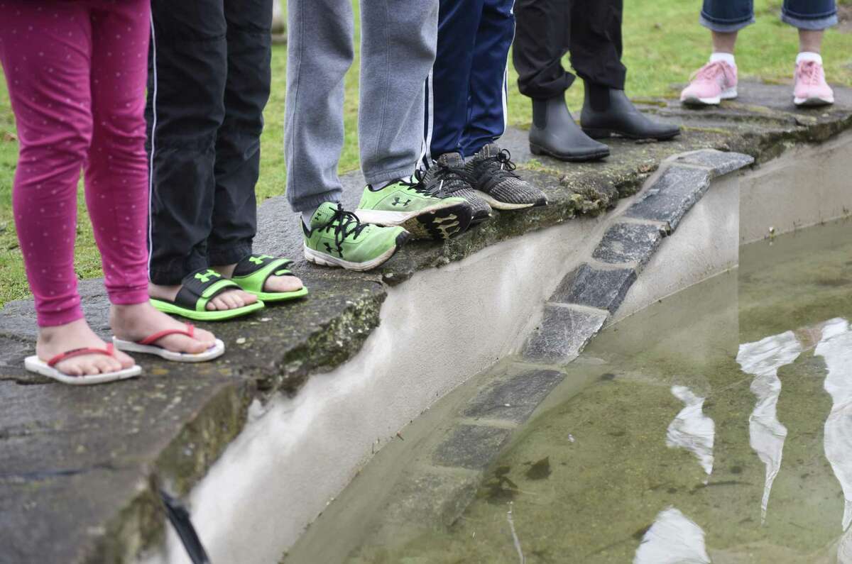 Quick, before they croak: Greenwich neighborhood builds ‘toad ladder ...