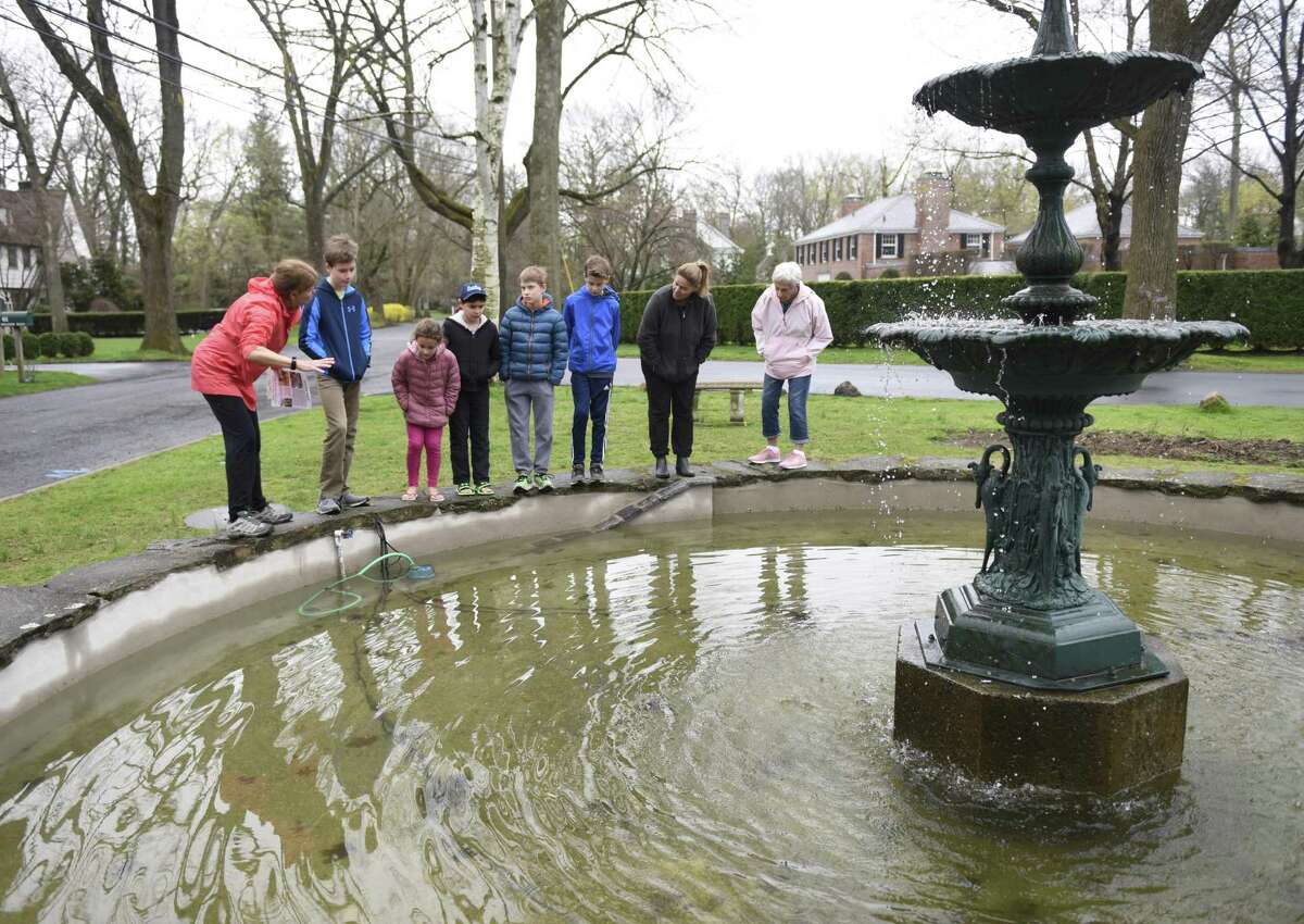 Quick, before they croak: Greenwich neighborhood builds ‘toad ladder ...