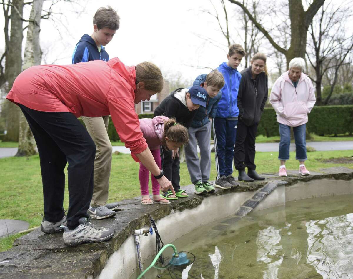 Quick, before they croak: Greenwich neighborhood builds ‘toad ladder ...