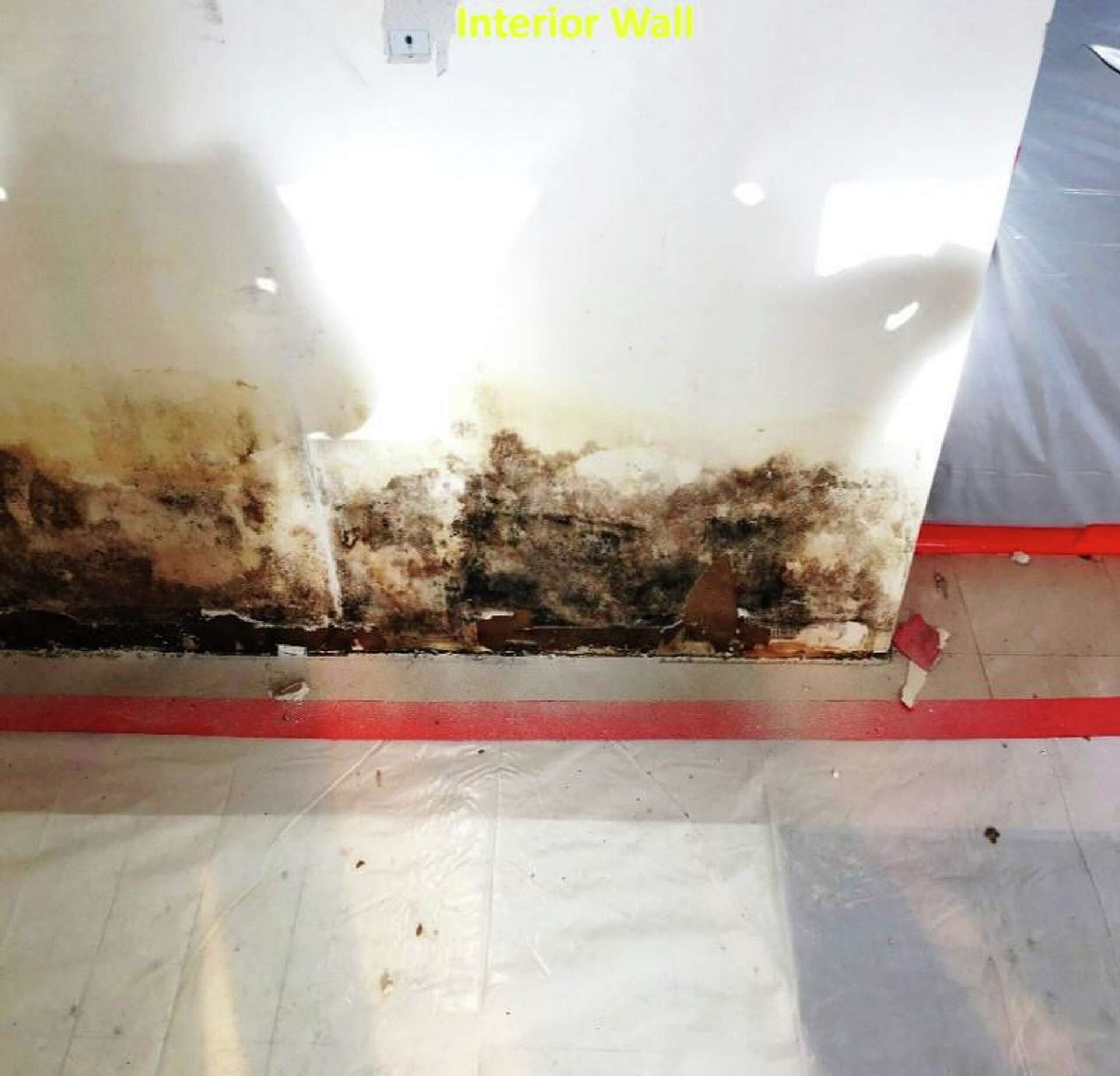 Horrifying mold photos disturb Stamford residents
