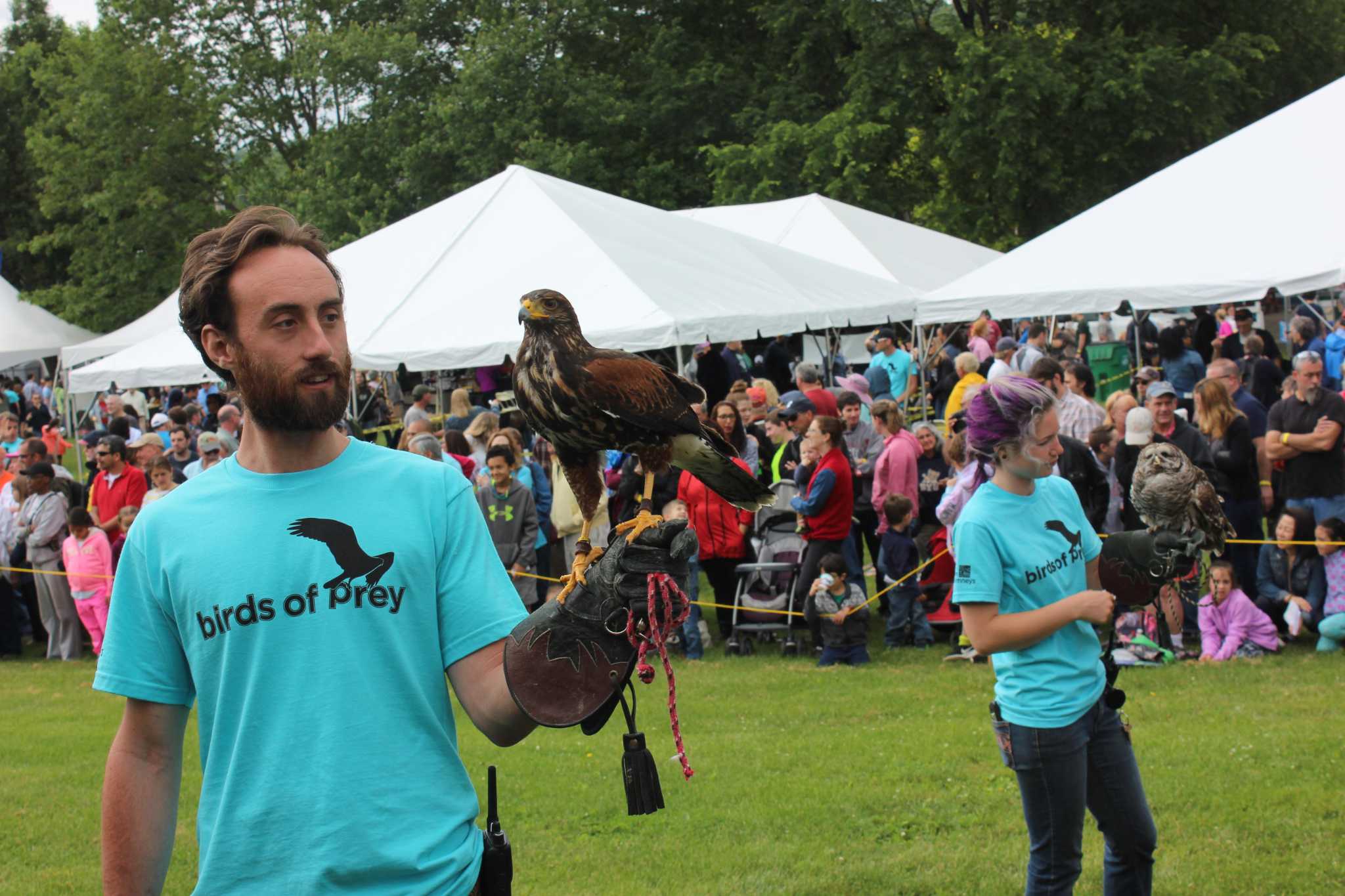 Unique wildlife experience at annual Green Chimneys event