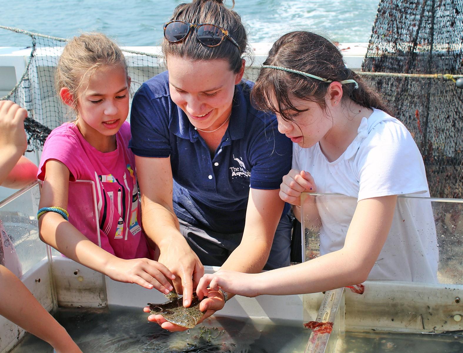 Maritime Aquarium at Norwalk hosts marine life encounter cruises