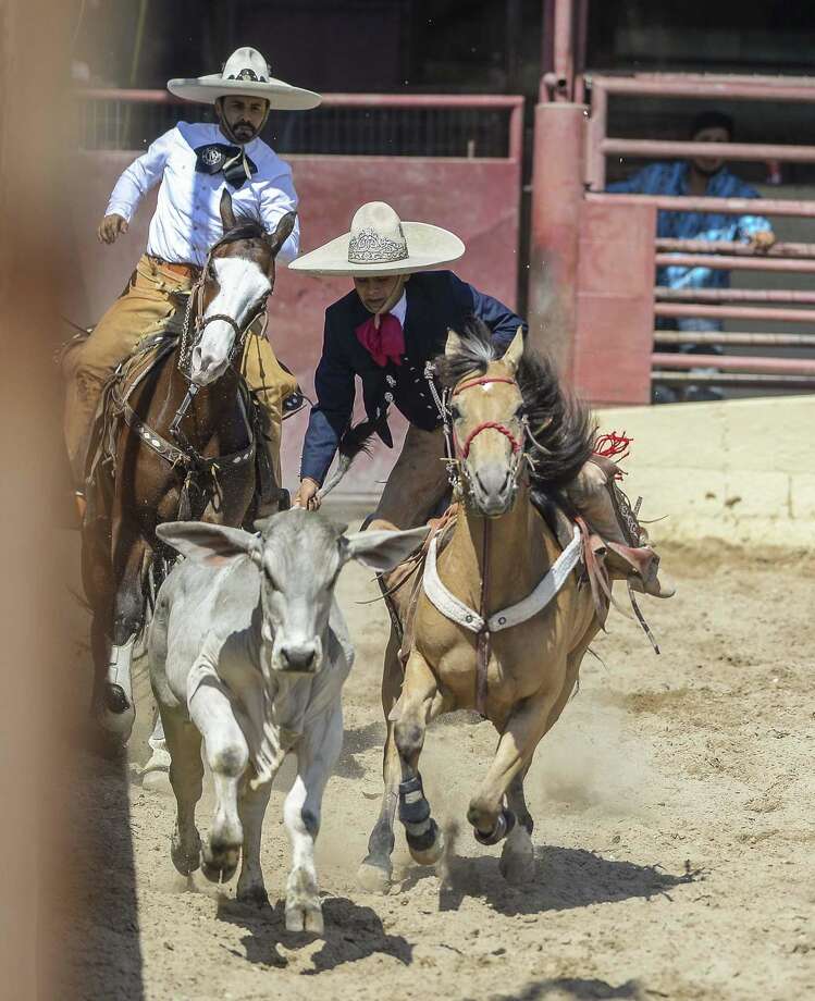Photos: Charreada draws thousands to close out Fiesta 2019 in San ...