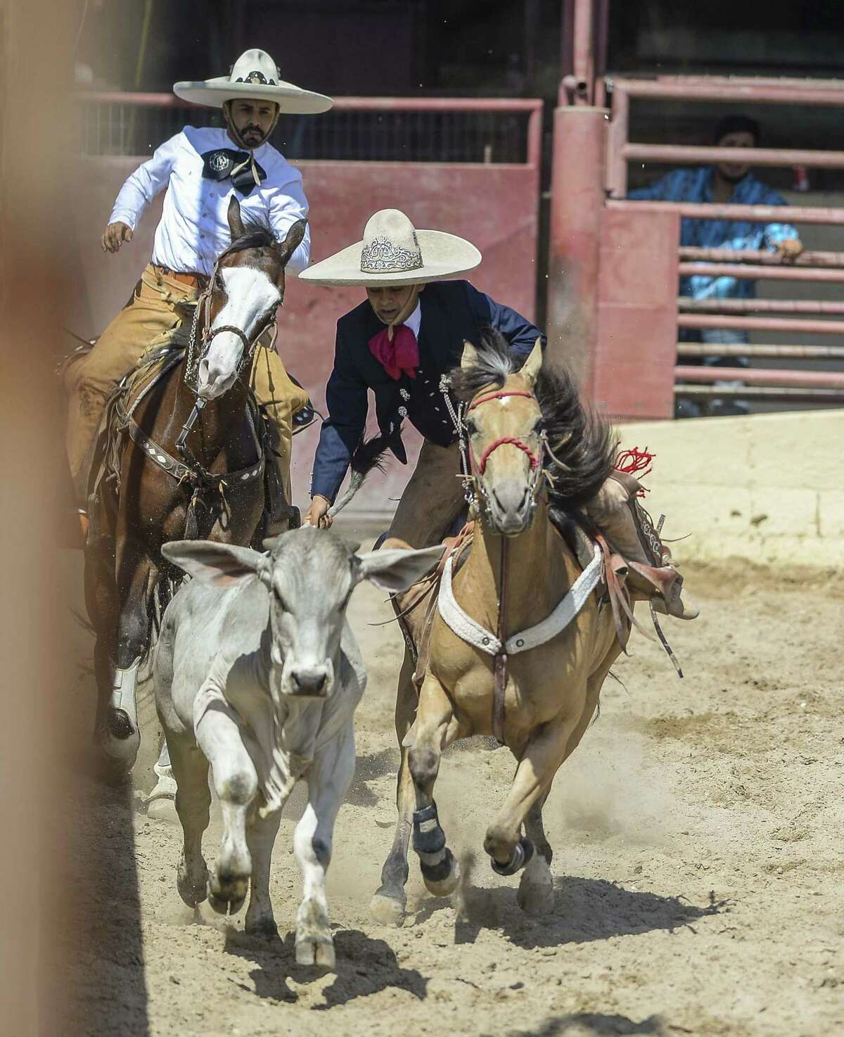Charreada draws thousands to close out Fiesta in San Antonio
