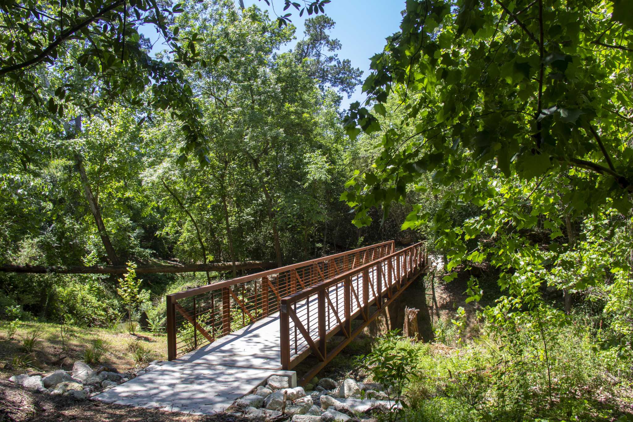 Houston Arboretum & Nature Center opens new Ravine Trail