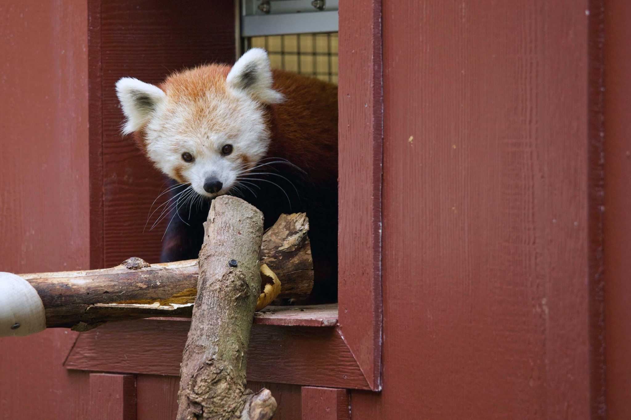Bridgeport’s Beardsley Zoo to host photography exhibit