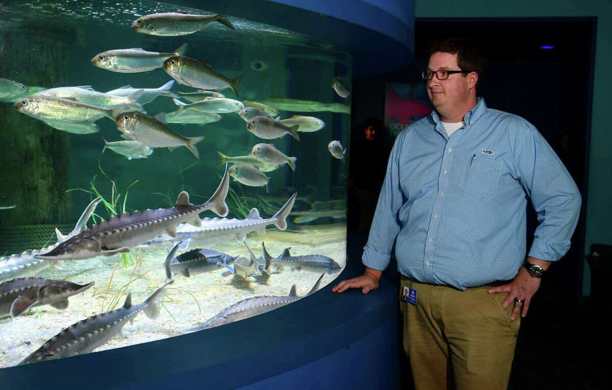 Maritime Aquarium takes water chemistry to the next level
