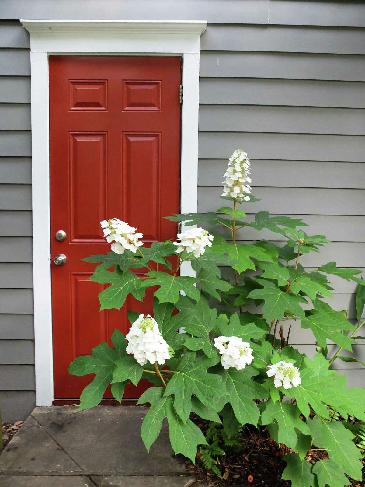 Two Houston landscape masters are gone, but their gardens thrive