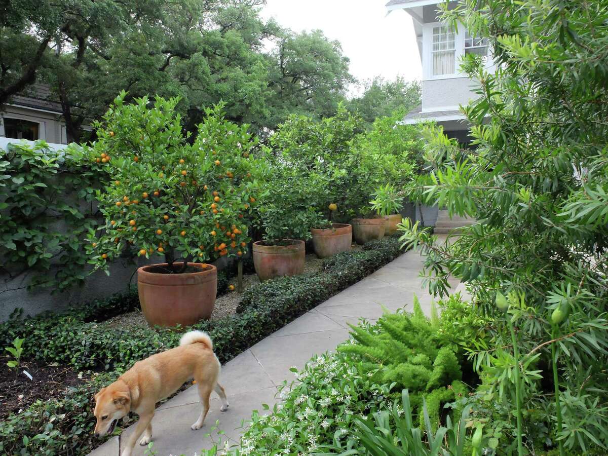 Two Houston landscape masters are gone, but their gardens thrive