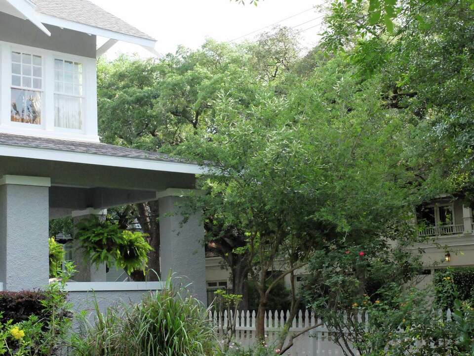 Two Houston landscape masters are gone, but their gardens thrive