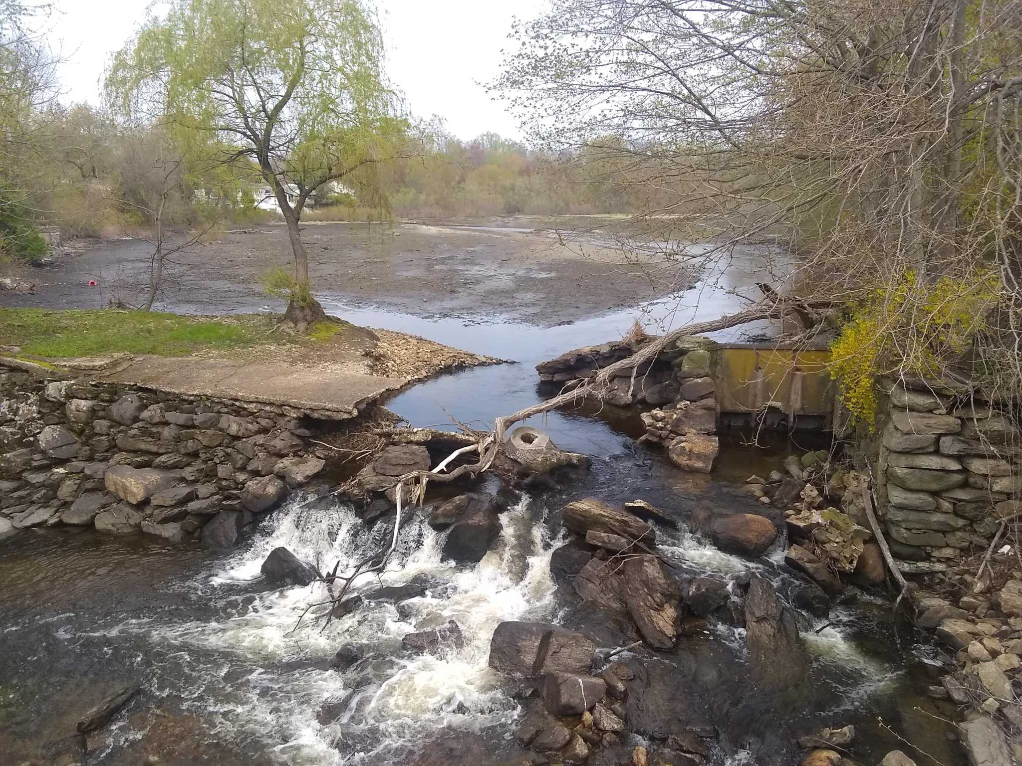 130-year-old Bulkley Pond dam to be removed