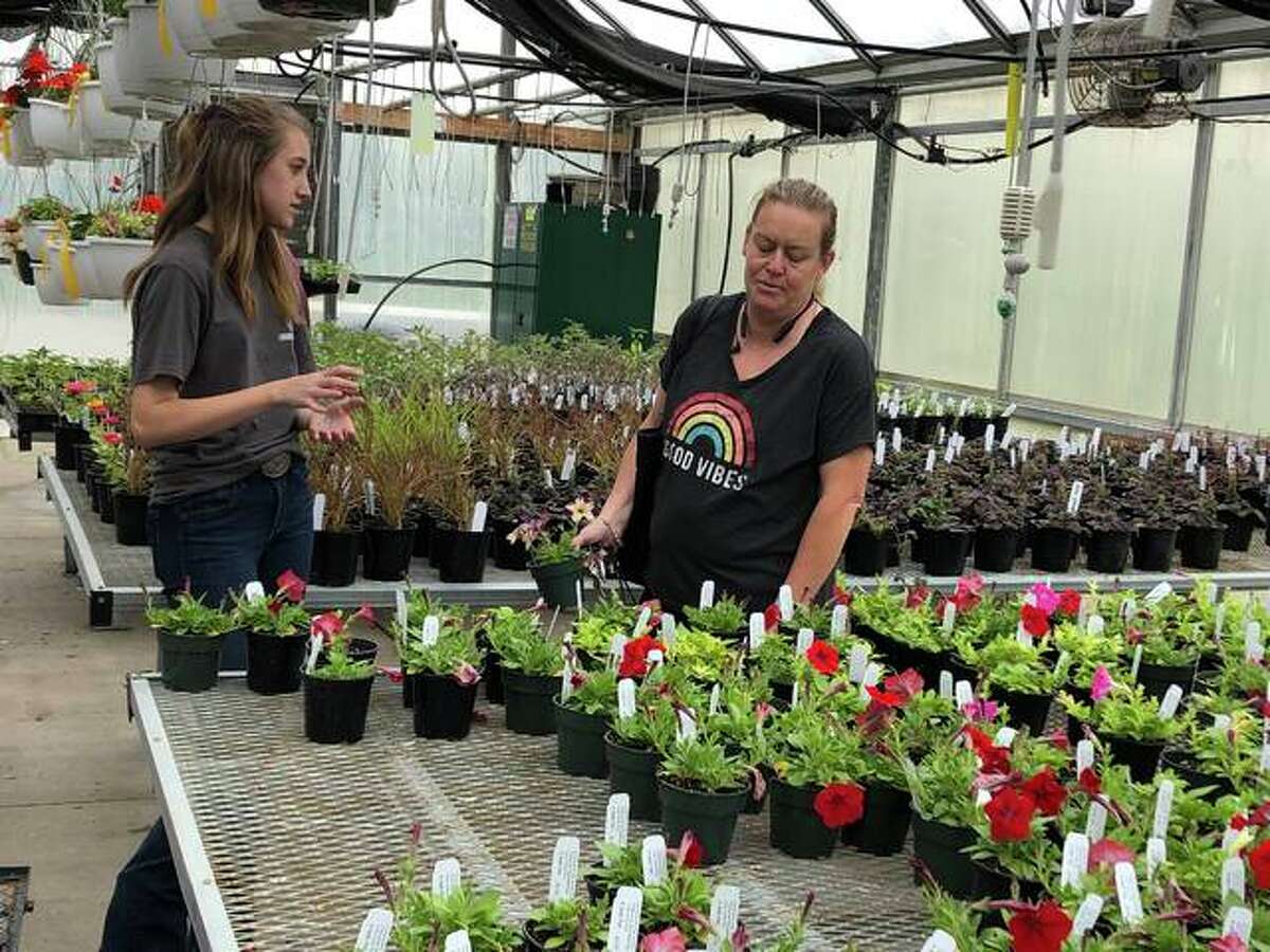 Greenhouse Plant Sale